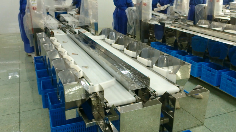 Weight Sorter Machine - from China